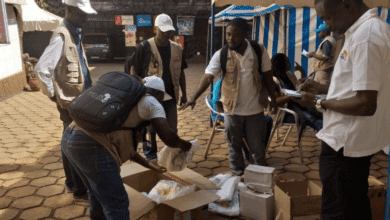 Applications are now open for the 2025 Echoing Green Fellowship for ...