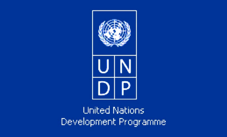 undp internship