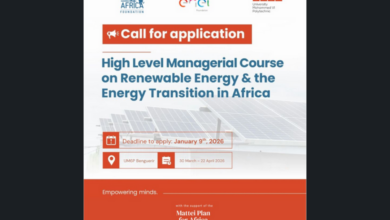 Call for Applications for the 2026/27 Hilde Domin Programme: Fully ...