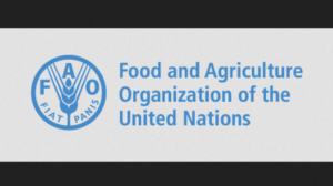 Call for Applications for the 2026/27 Hilde Domin Programme: Fully ...