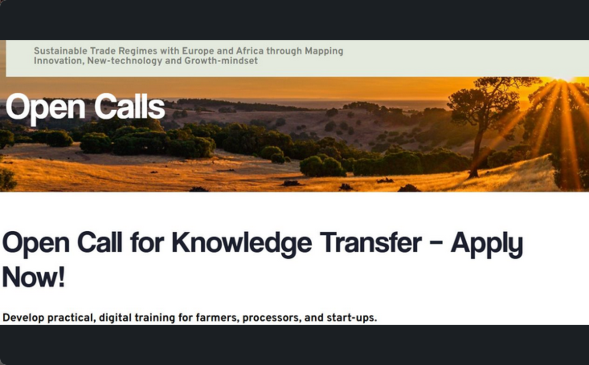 Open Call for Knowledge Transfer Grants to fund digital training ...